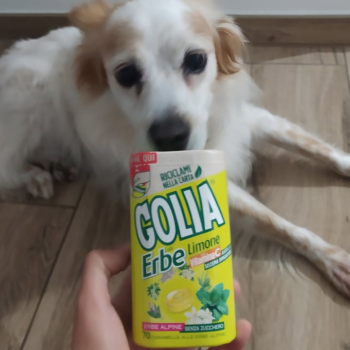 Perfetti Golia Alle Erbe - Pack Di Carta Review | abillion