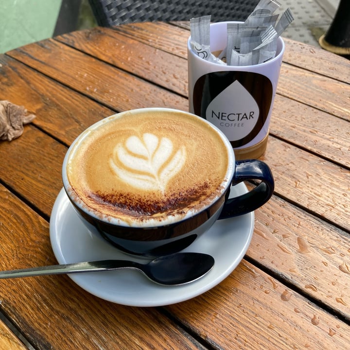 Nectar Coffee Centre, Cork, Ireland Oat milk Cappuccino Review | abillion