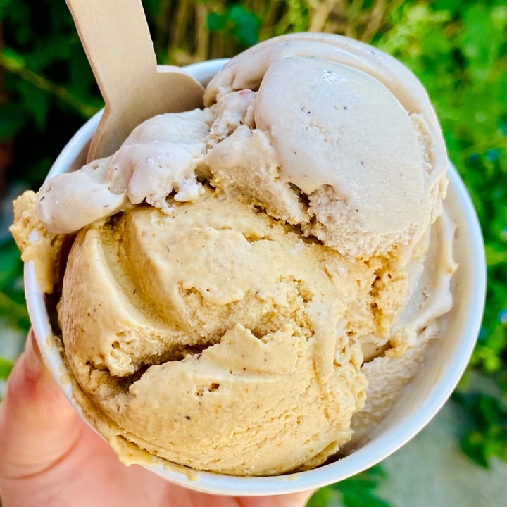 [FoMu] Jamaica Plain, Boston, United States Vegan Ice Cream Review ...