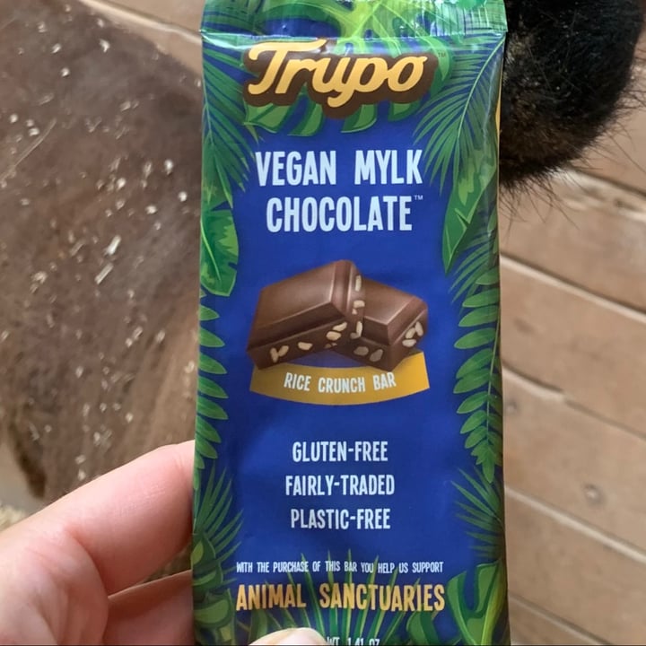 Trupo Treats Vegan Rice Crunch Chocolate Bar Review | abillion