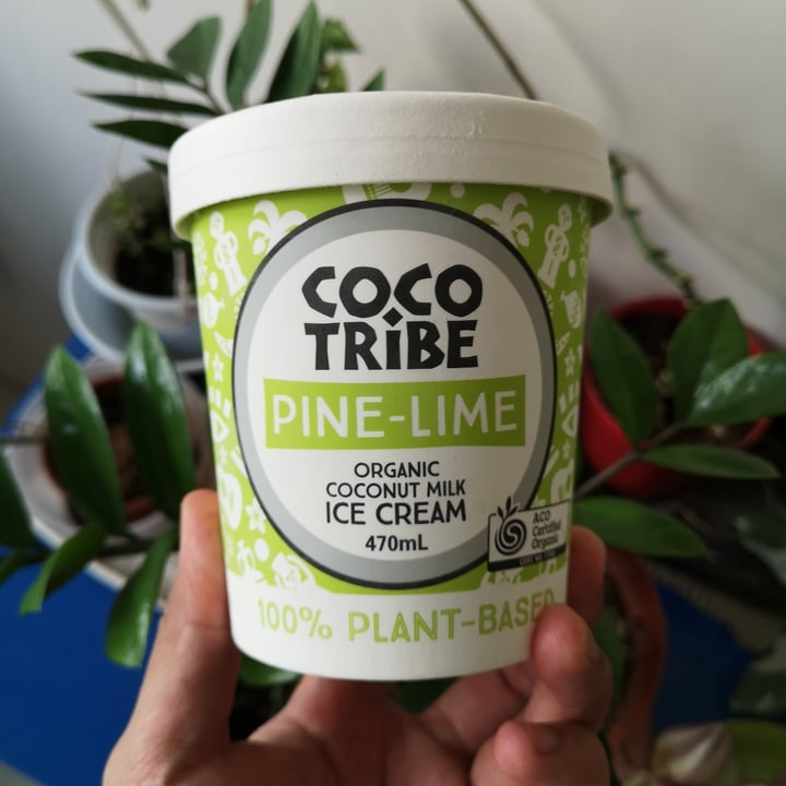 Coco Tribe Pine-Lime Review | abillion