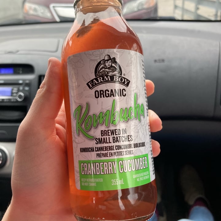 Farm Boy Organic Kombucha Review | abillion