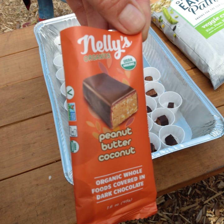 Nelly's Organics Peanut Butter Coconut Review | abillion