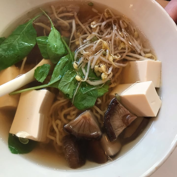 Koto Ramen Via Verdi Firenze, Italy Shio Ramen Review | abillion