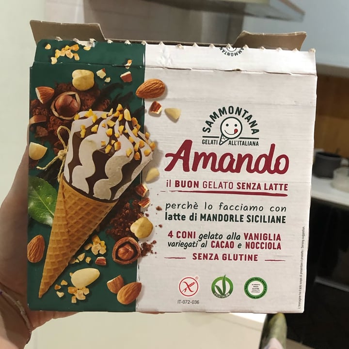 sammontana amando cornetto Vaniglia Variegato Con Cacao E Nocciola ...