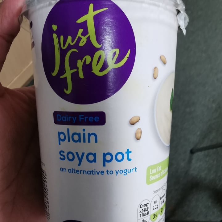 Just Free Plain Soya Pot Review | abillion