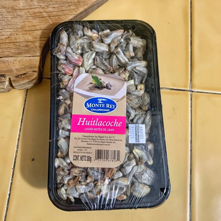 Monte Rey Reviews | abillion