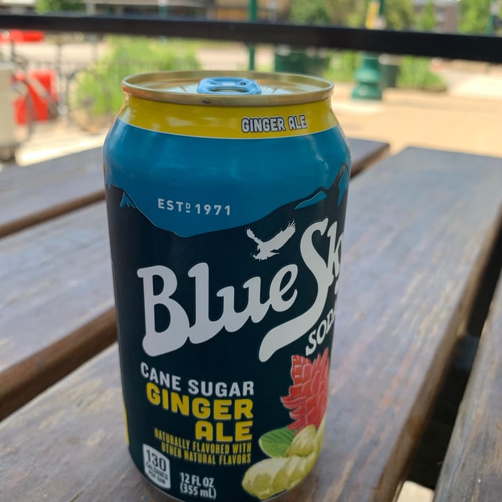 Blue Sky Beverage Co Ginger Ale Review | abillion