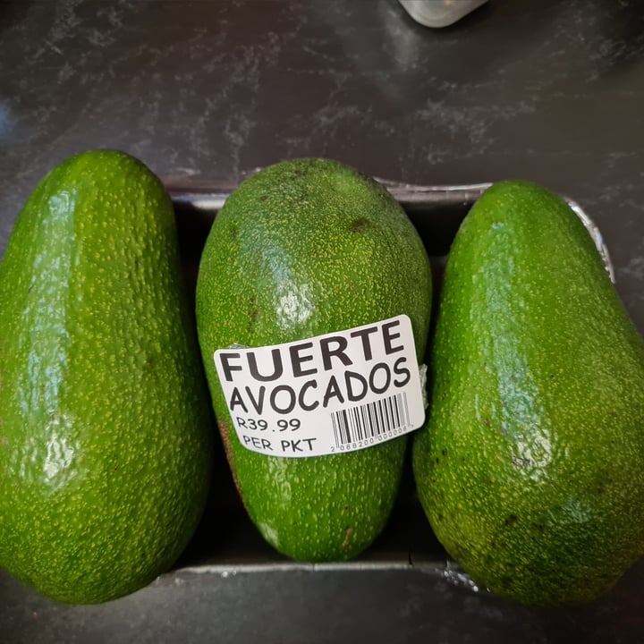 Fuerte Avocados Review | abillion