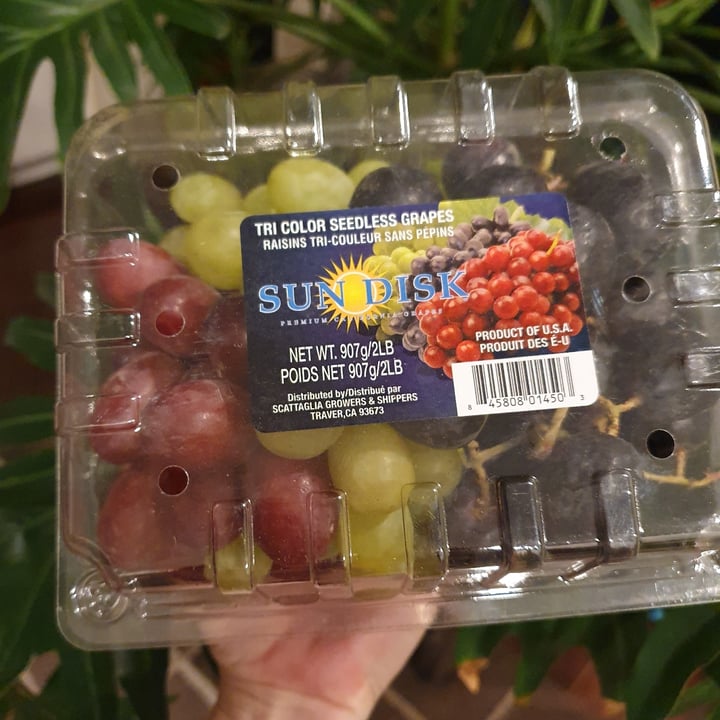 Sun Disk Tri Color Seedless Grapes Review | abillion