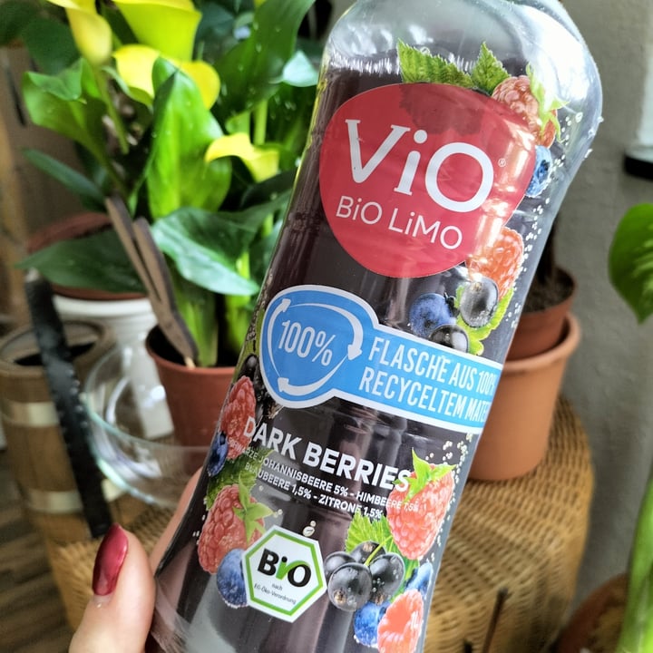 ViO BiO LiMO Dark Berries Review | abillion