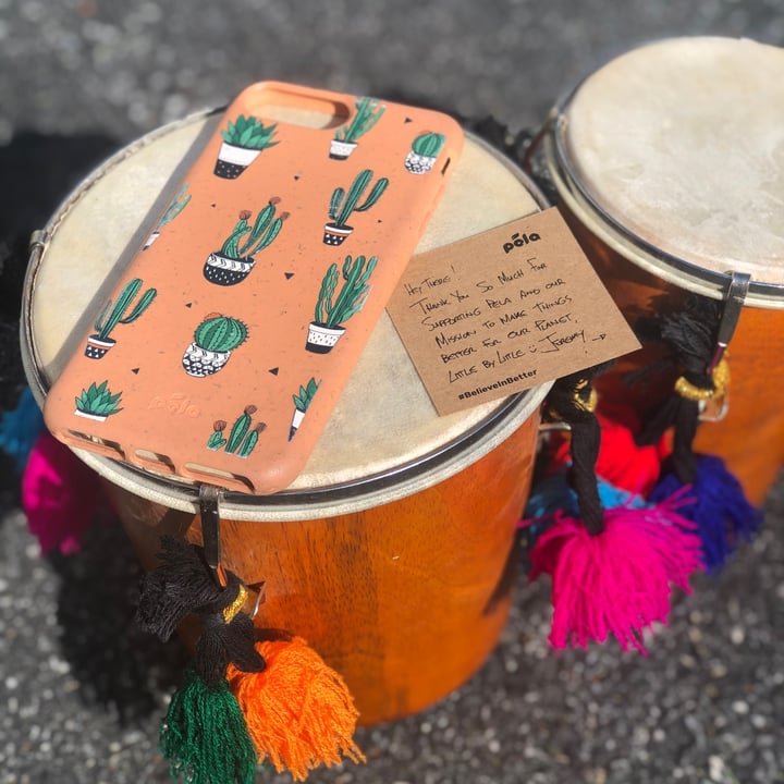 Pela Case Cantaloupe Desert Flora Eco-Friendly Phone Case Review | abillion