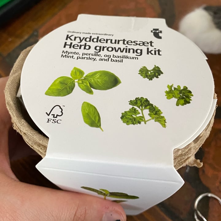 Flying Tiger herb growing kit Review | abillion