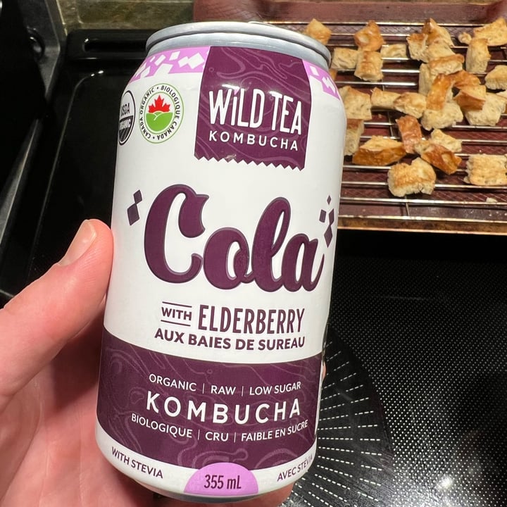 Wild Tea Kombucha Cola With Elderberry Review | abillion
