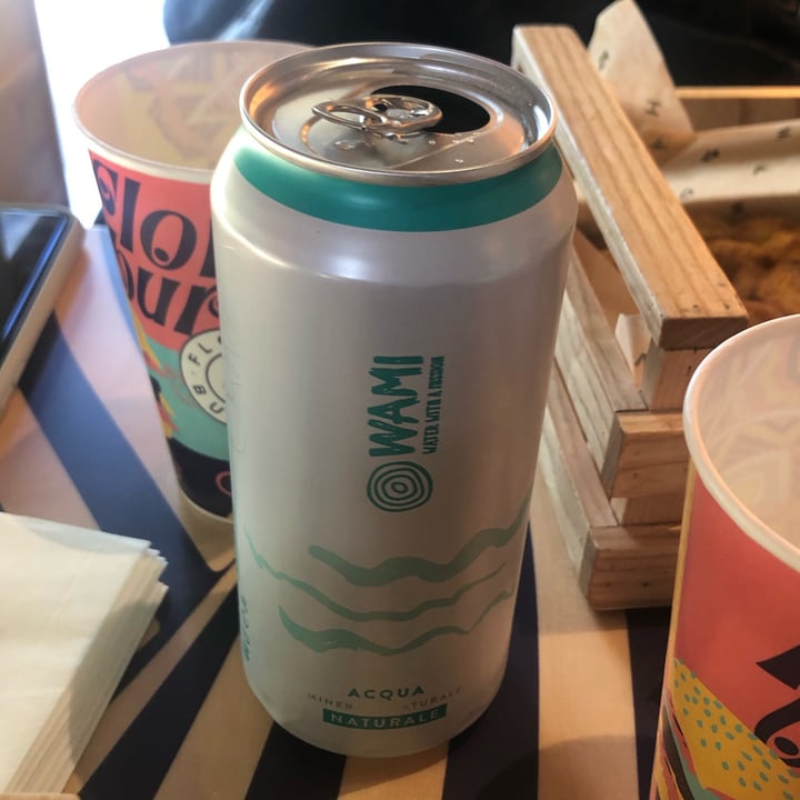 WAMI Water With A Mission Review | abillion