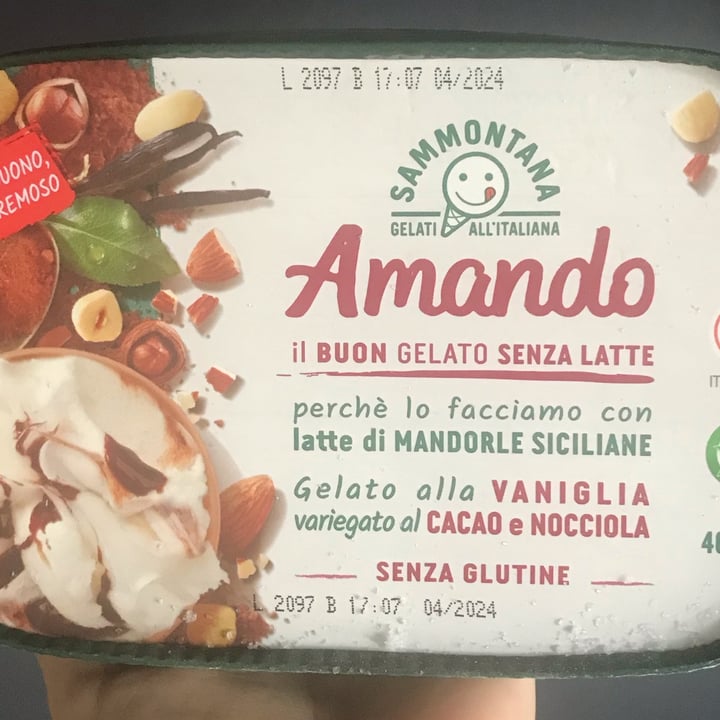 Sammontana Amando Sammontana gelato Vaniglia Cacao Nocciola Review | abillion