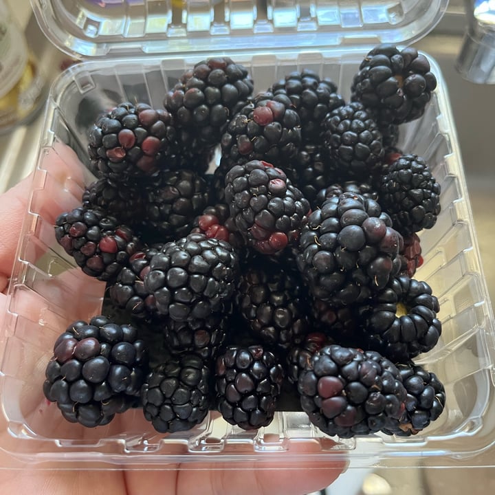 Always Fresh Farms Blackberries Review | abillion