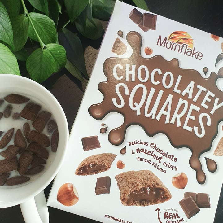 Mornflake Chocolatey Squares Review | abillion