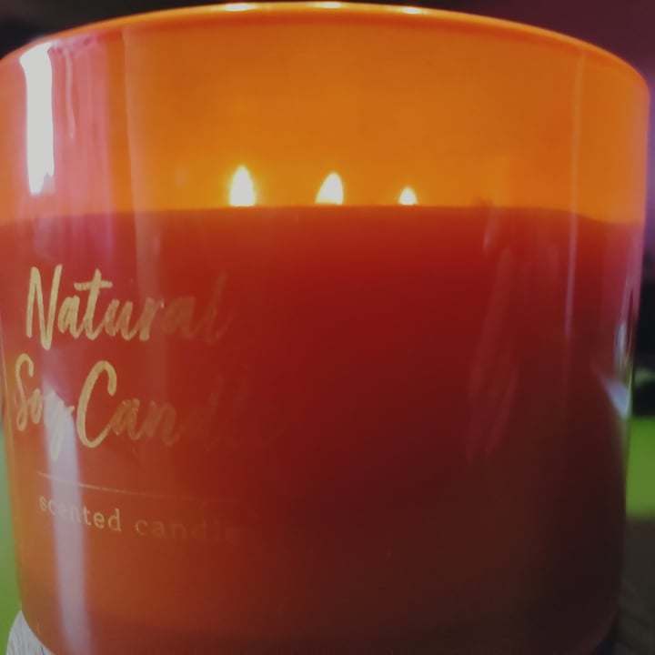 pepco candela a base di soia Review | abillion