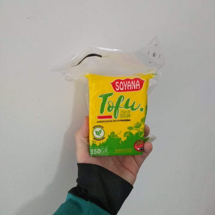 Soyana Tofu Review | abillion