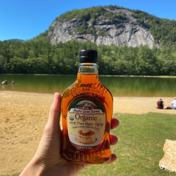 Maple Grove Farms Organic 100% Pure Maple Syrup Review | abillion