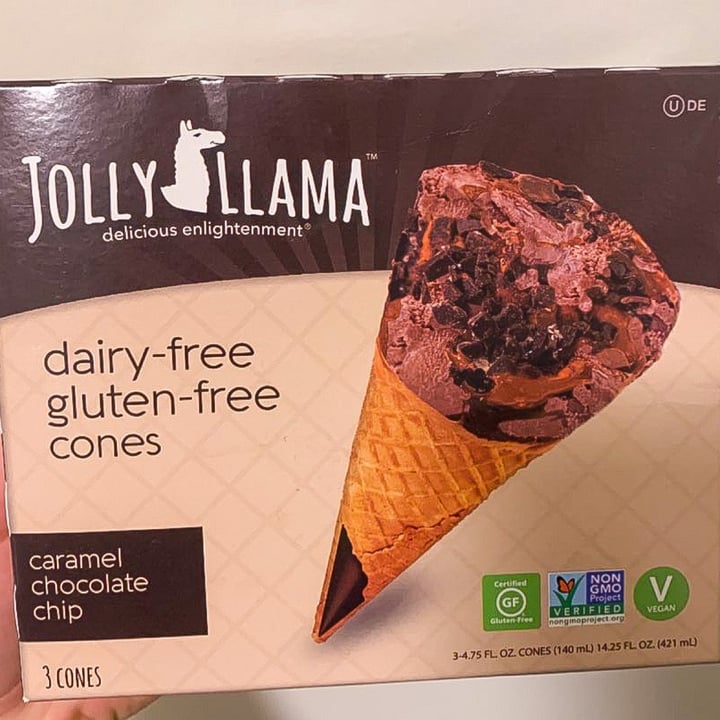 Jolly Llama Caramel Chocolate Chip DF GF Cones Review | abillion