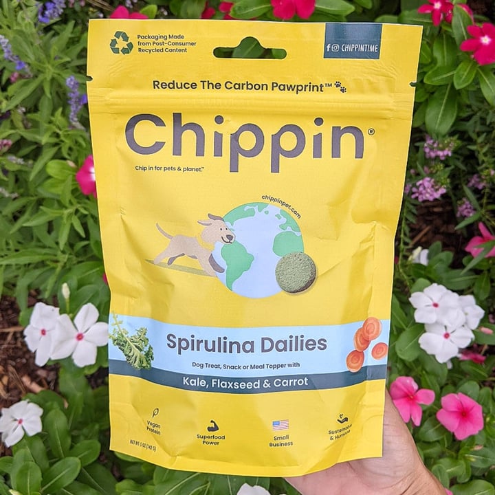 Chippin Spirulina Dailies Review | abillion