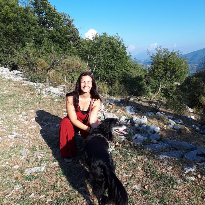 aivil (@aivil) | abillion