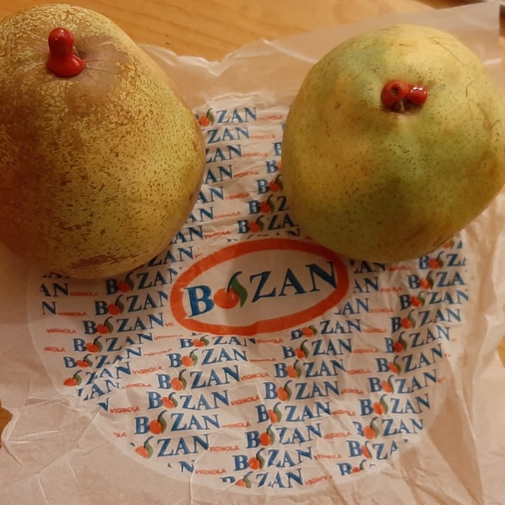 Bozan Reviews | abillion