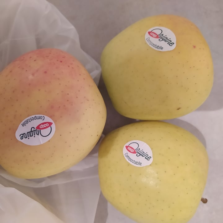 Coop Mele Golden Review | abillion