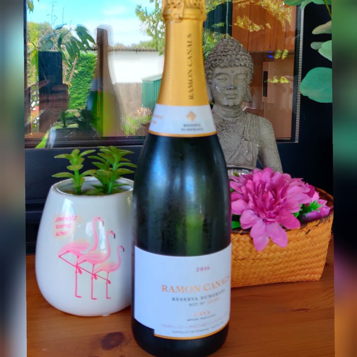 Ramón canals Cava Review | abillion