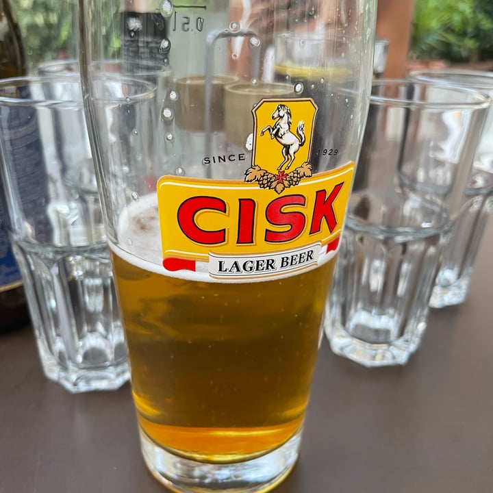 Cisk Lager beer Review | abillion