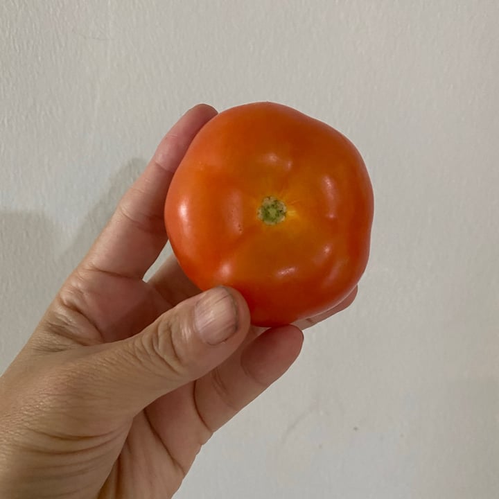 Prime supermarket Tomatoes Review | abillion