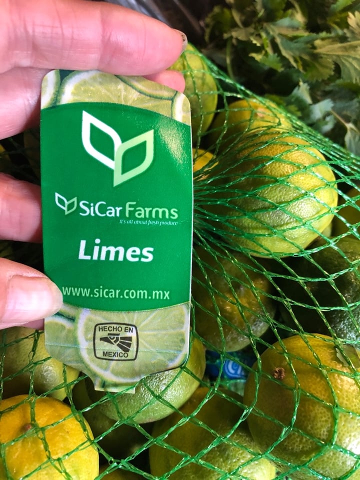 SiCar Limones Review | abillion