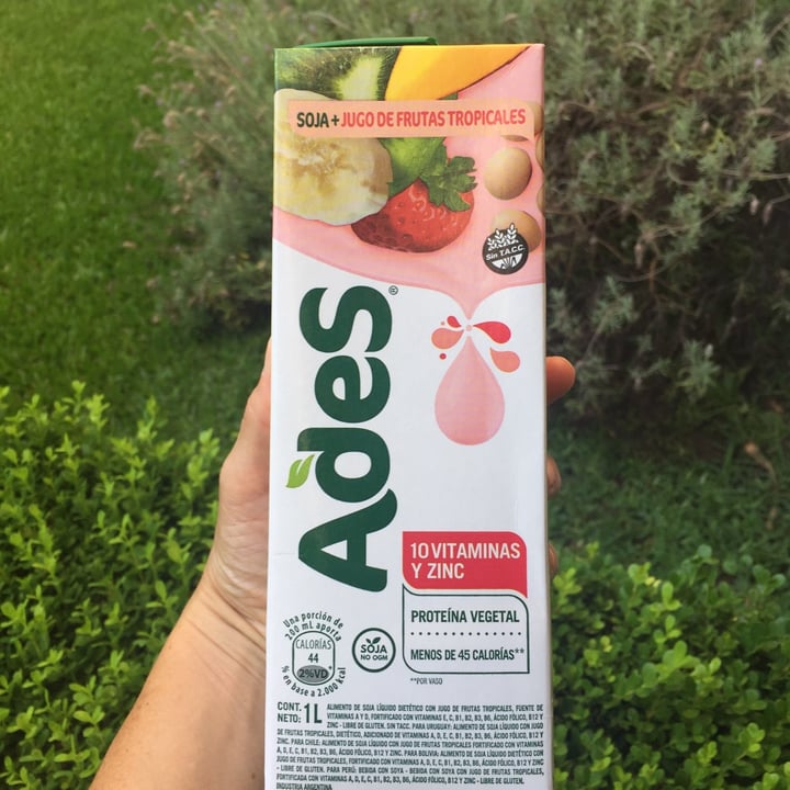 Ades Leche de Soja sabor Frutas Tropicales Review | abillion
