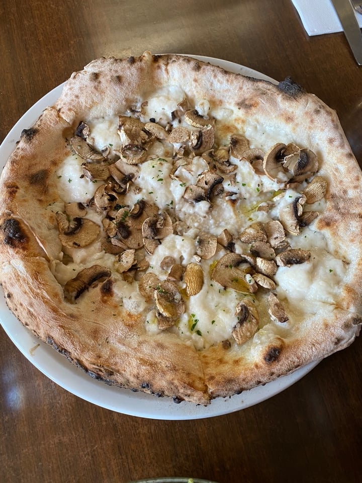 Il Caminetto Moonee Ponds, Australia Zio pino Review | abillion