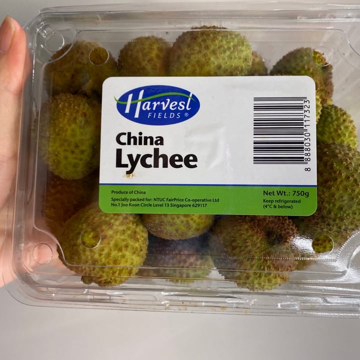 Harvest field China Lychee Review | abillion