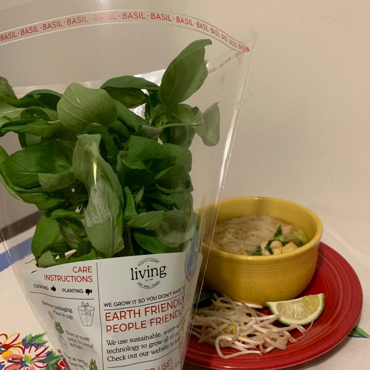 North Shore Farms Living Basil Review | abillion