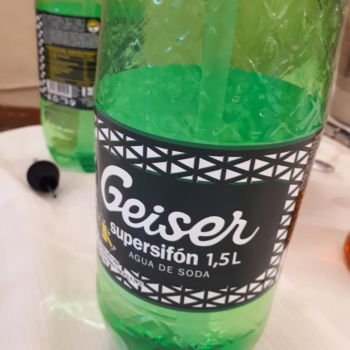 Geiser Reviews | abillion