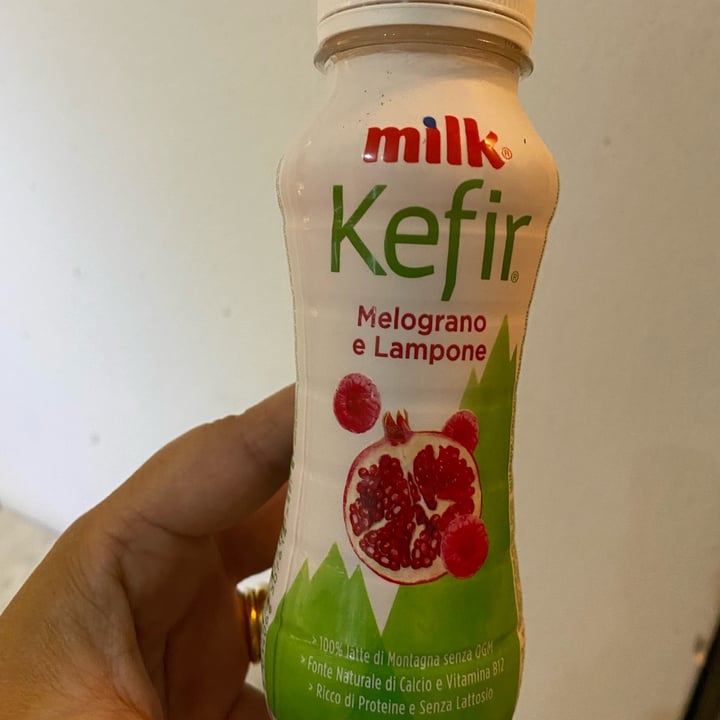 milk kefir Milk Kefir Review | abillion