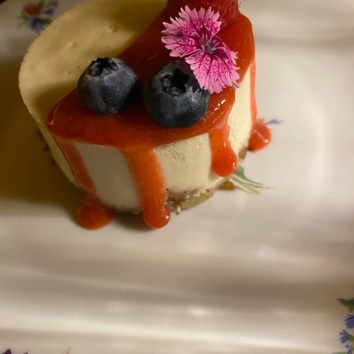 Sementis Pietrasanta, Italy Cheesecake crudista ai frutti rossi Review ...
