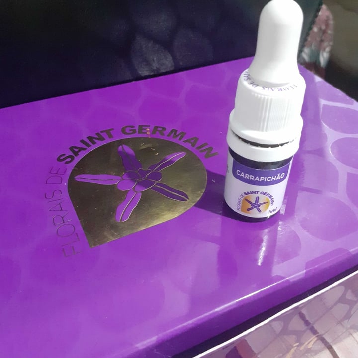 FSG Florais de Saint Germain carrapichão Review | abillion