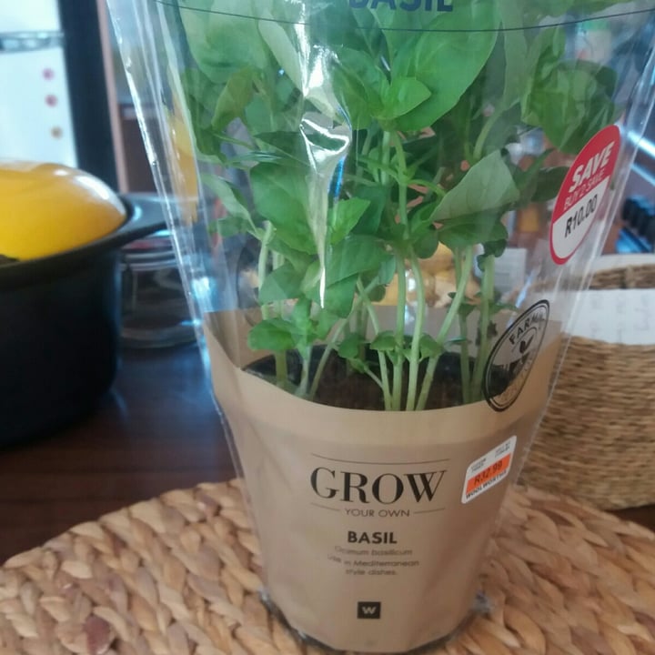 Woolworths Food Basil Plant Review | abillion