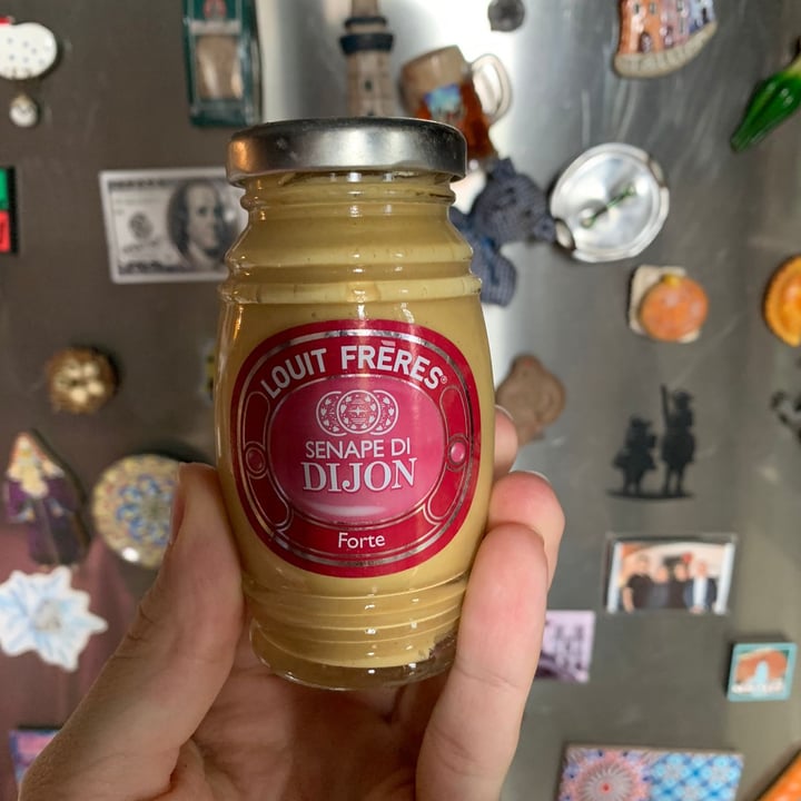 Louit Freres Senape di dijon forte Review | abillion