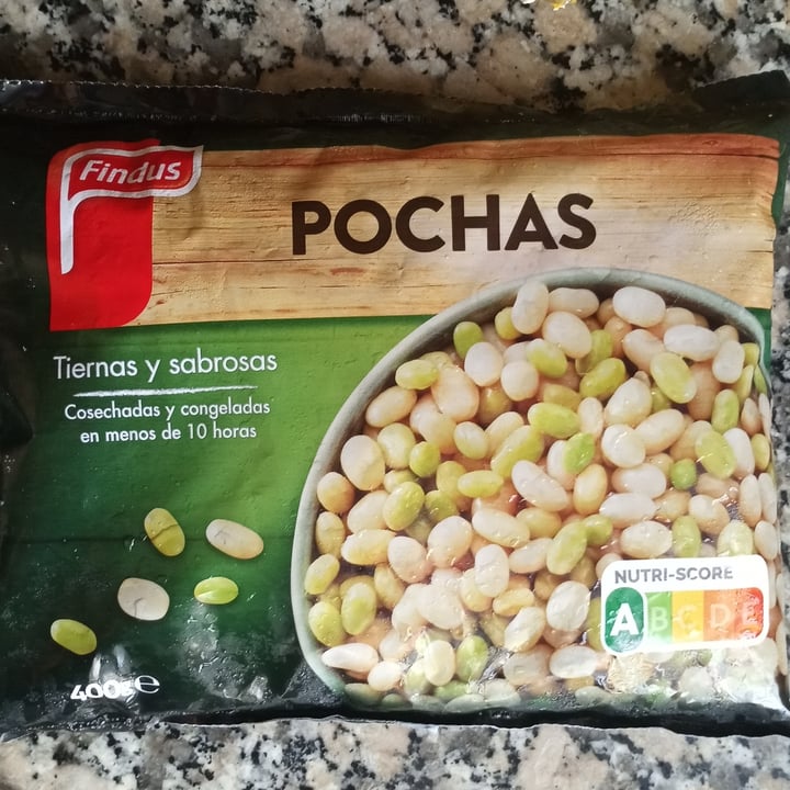 Findus Pochas Review | abillion