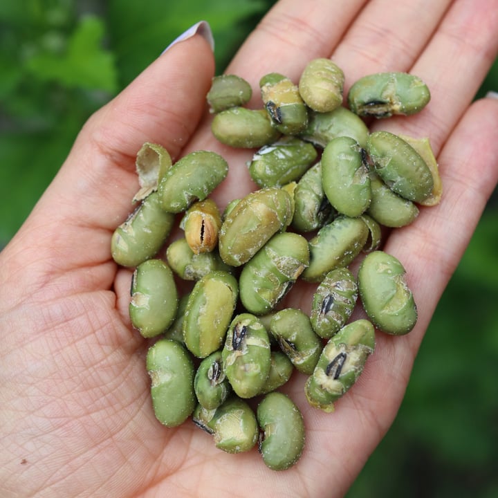 The Only Bean Reviews | abillion