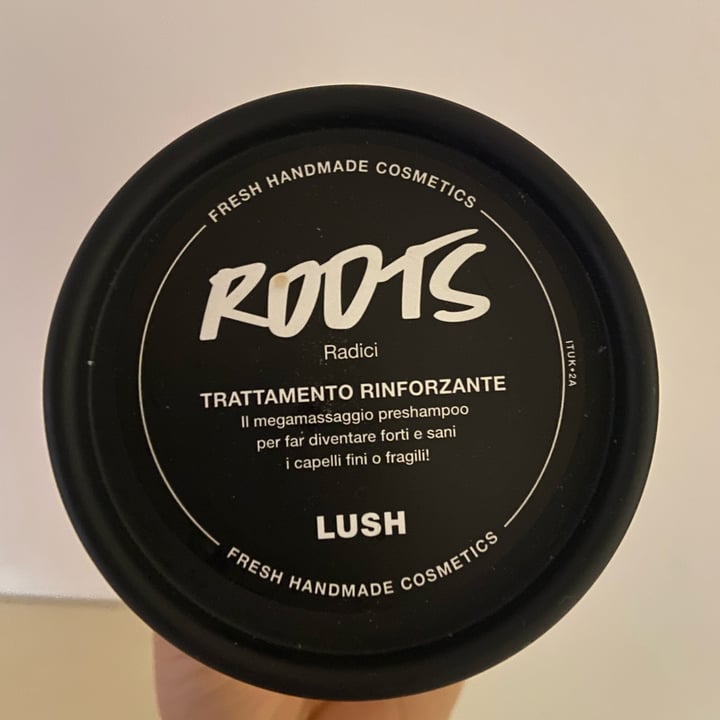 LUSH Fresh Handmade Cosmetics ROOTS Review | abillion
