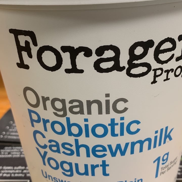 Forager Project organic probiotic cashewmilk yogurt Review | abillion