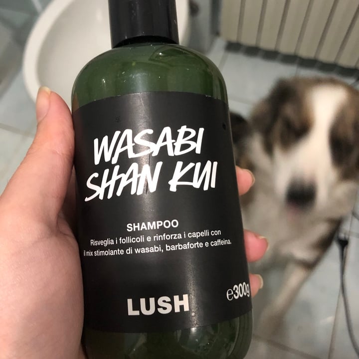 LUSH Fresh Handmade Cosmetics Wasabi Shan Kui Review | abillion
