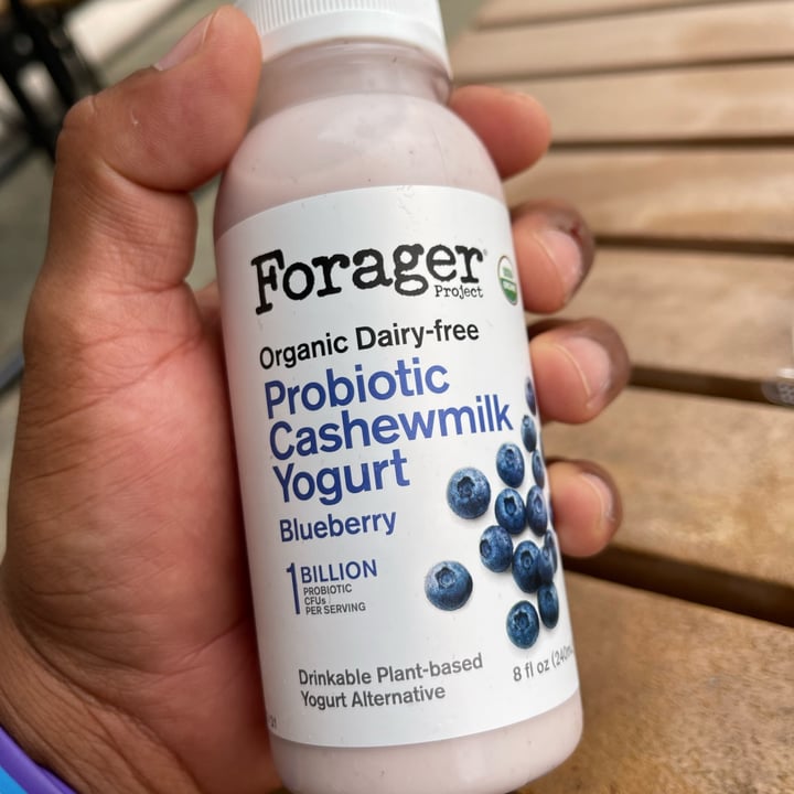 Forager Project Probiotic cashewmilk yogurt strawberry Review | abillion